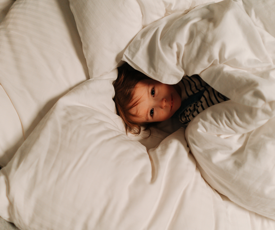 Održavanje deka i posteljine kod kuće: savjeti za zimske dane - iwash ...